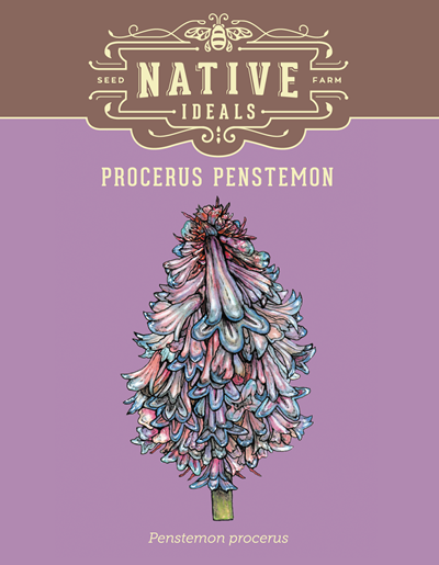 Native Ideals Seed Farm | Native Wildflower Seeds | Catalog
