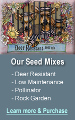 Native Ideals Seed Farm | Native Wildflower Seeds | Catalog