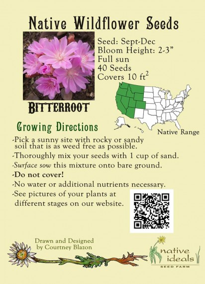 Native Ideals Seed Farm | Native Wildflower Seeds | Catalog