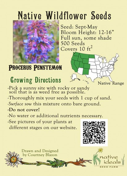 Native Ideals Seed Farm | Native Wildflower Seeds | Catalog